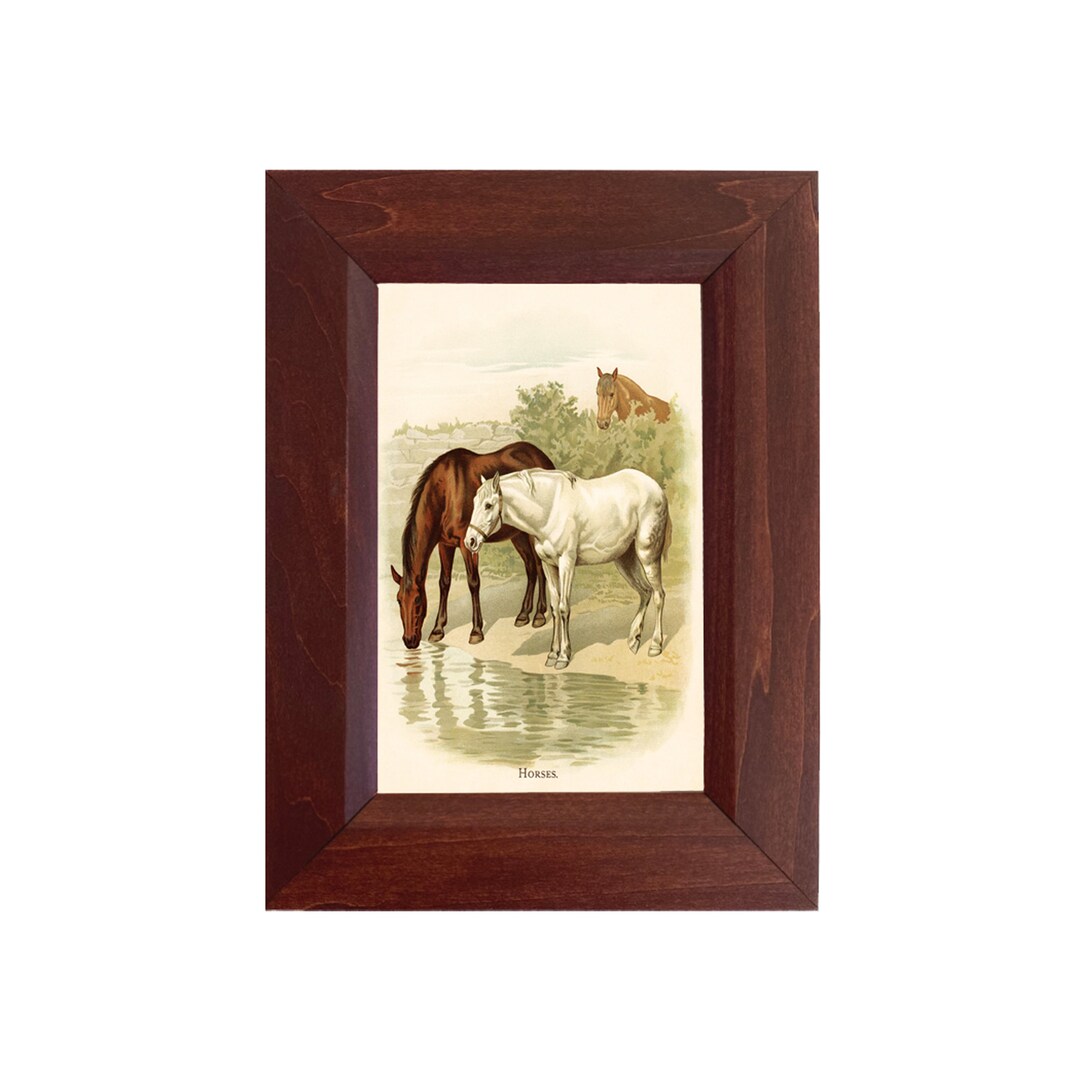 Vintage Style Three Horses Framed Print- Equestrian Wall Art (4x6) - Etsy