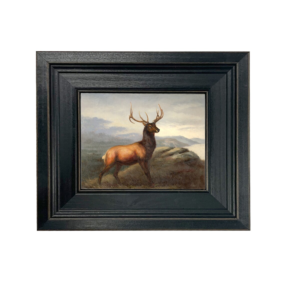 Stag Framed Canvas Print, Hunting Cabin Lodge Decor, Black Wood Frame ...