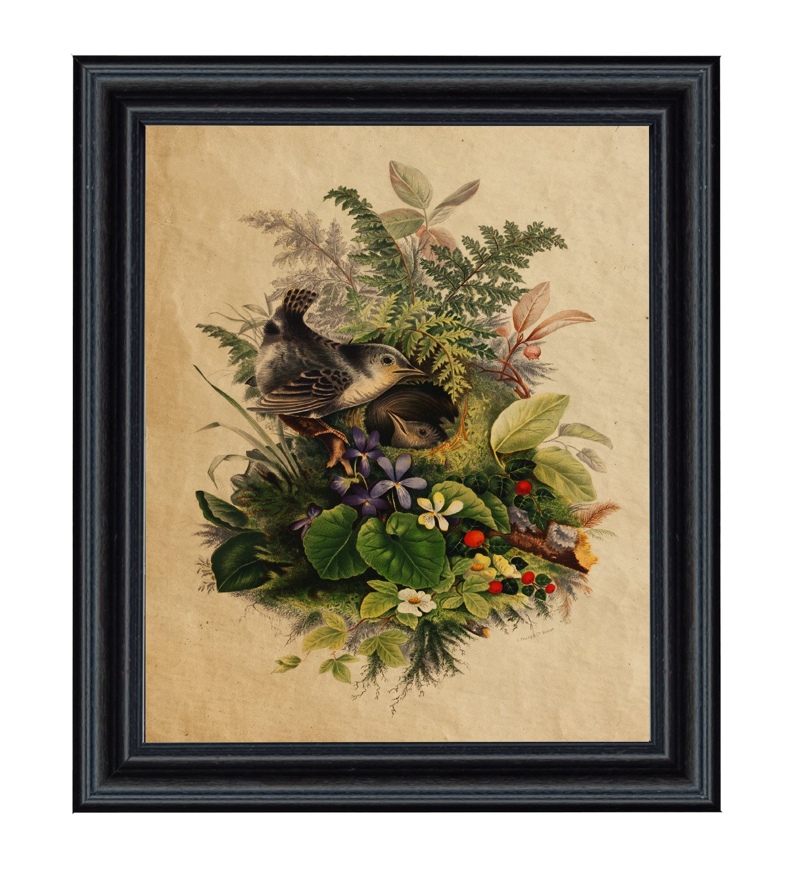 Birds in Nest Cottagecore Framed Reproduction Print, Nursery, Cabin ...