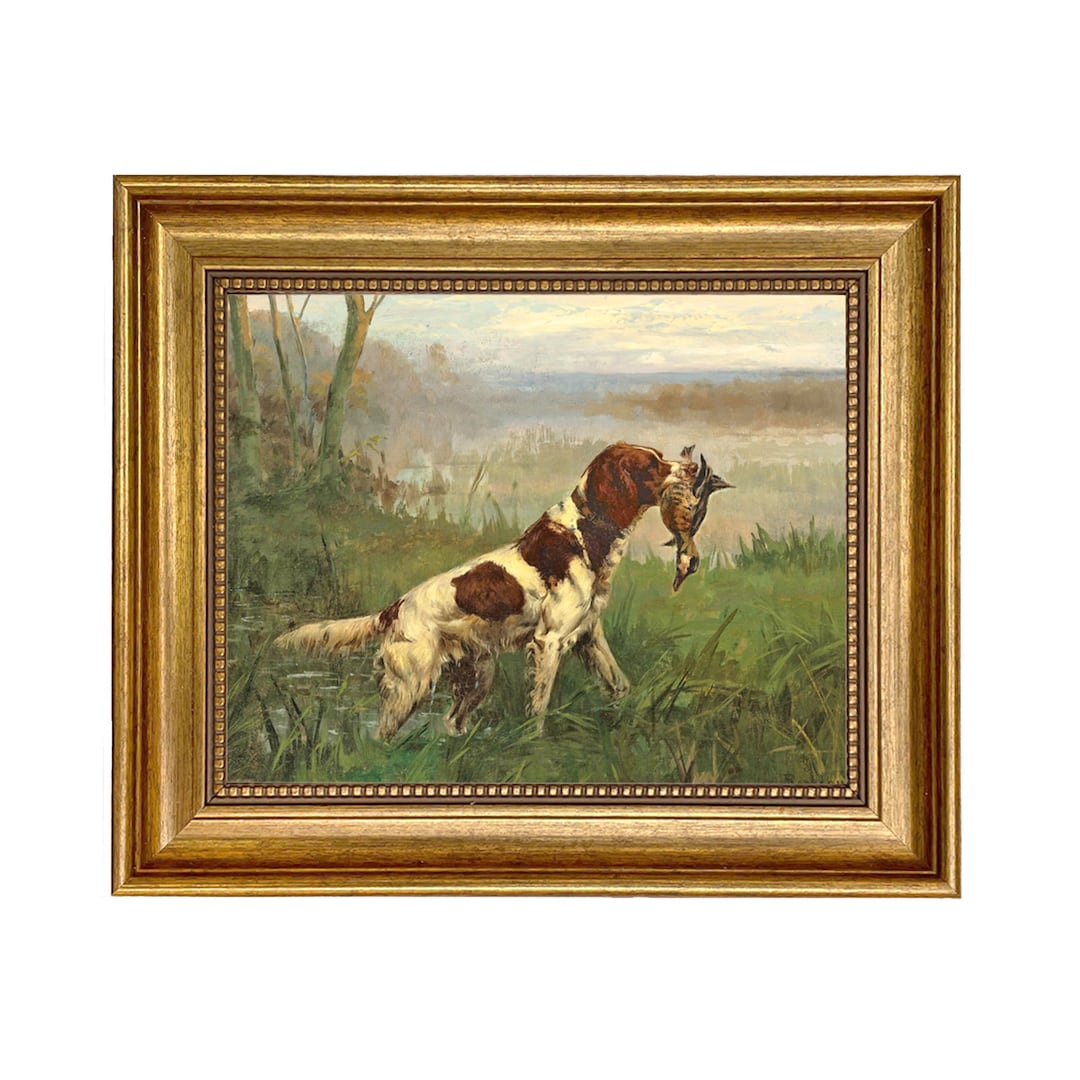 Framed Setter With Ruddy Duck Canvas Print, Vintage Hunting Dog Art - Etsy