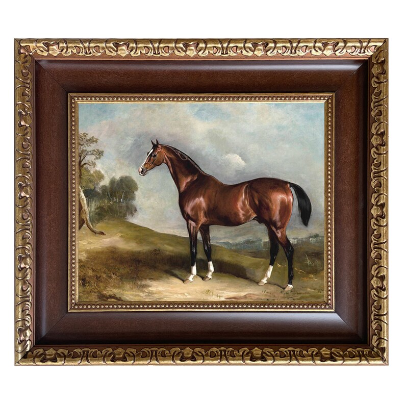 Framed Horse Portrait Print, Sultan in a Landscape, Equestrian Wall Art ...