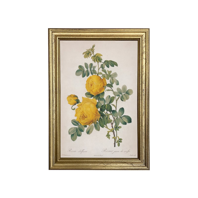 Botanical Rose Print - Etsy