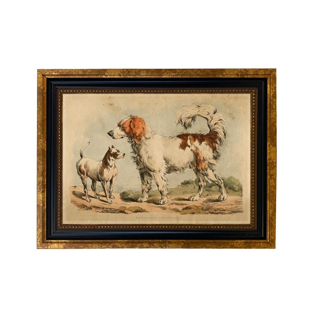 Two Dogs Vintage Book Illustration, Framed Reproduction Print, 5x7 ...