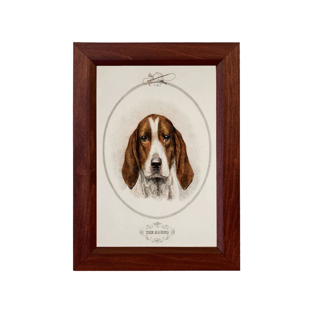 The Hound Framed Print, Fox Hunt, English Country, Hunting Dogs, Man ...