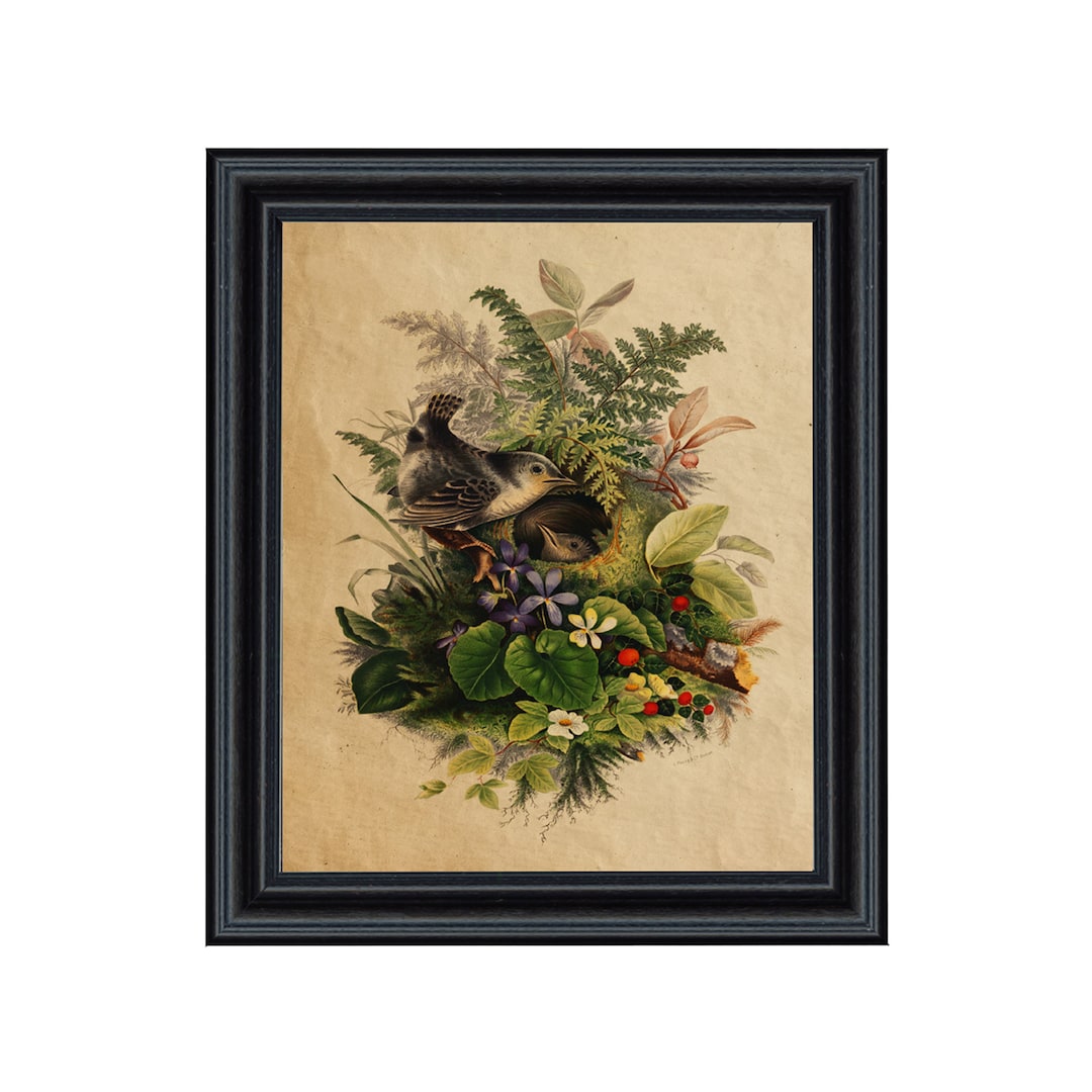 Birds in Nest Cottagecore Framed Reproduction Print, Nursery, Cabin ...