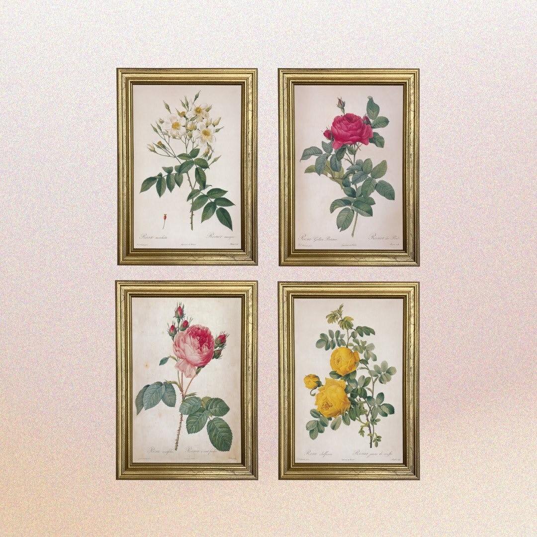 Framed French Botanical Gallery Wall Art Collection, Flower Print, Rose ...