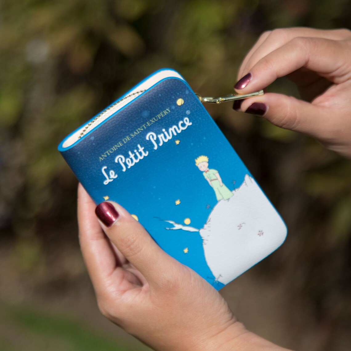 The Little Prince Book Wallet, Le Petit Prince Clutch, Mothers Day Gift ...