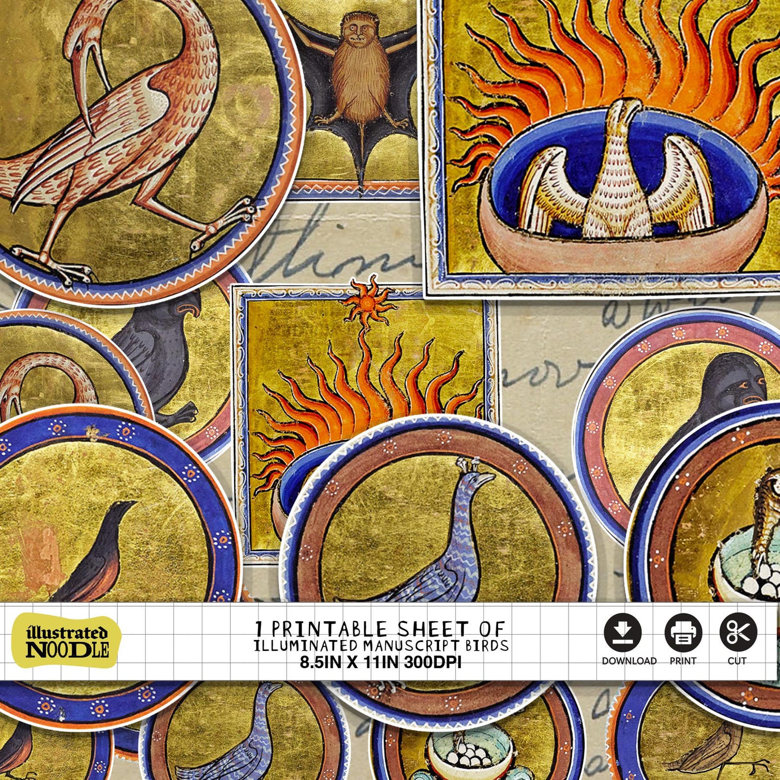 Illuminated Manuscript Birds- Printable Ephemera - Etsy