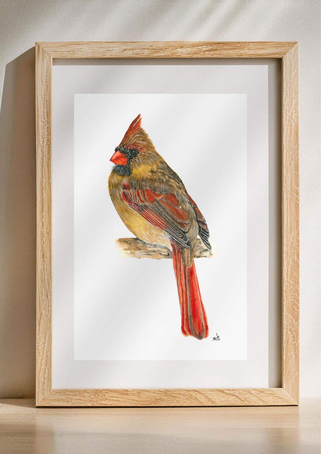 Female Cardinal Watercolor Painting: Birdwatcher Art (digital Download ...
