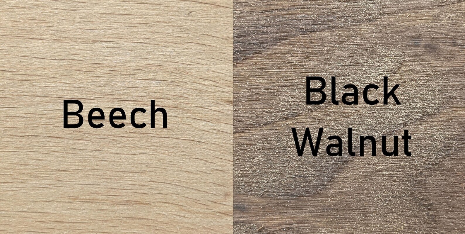 World Tree Dice Vault Personalized Laser Engraved Dnd Dice - Etsy