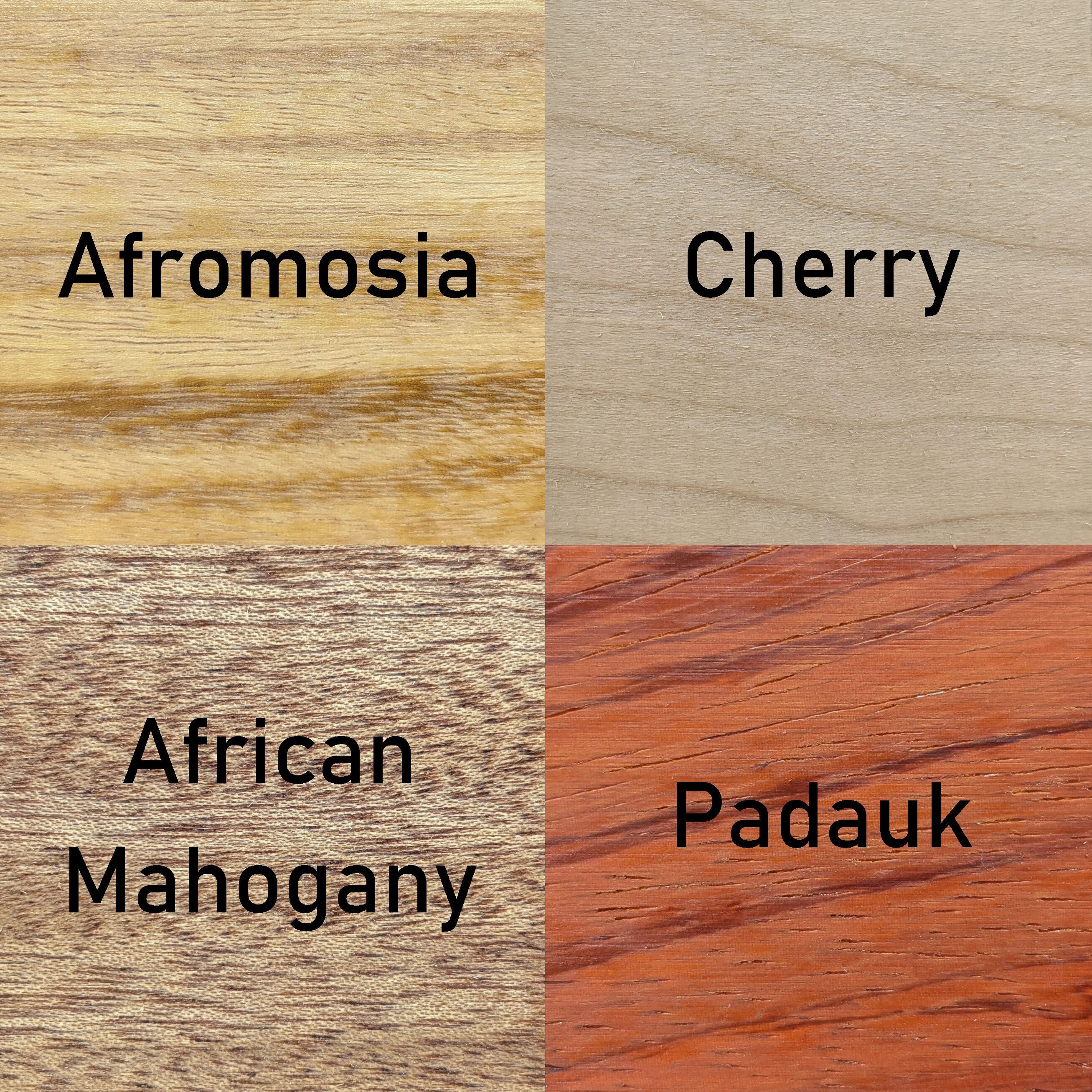 World Tree Dice Vault Personalized Laser Engraved Dnd Dice - Etsy