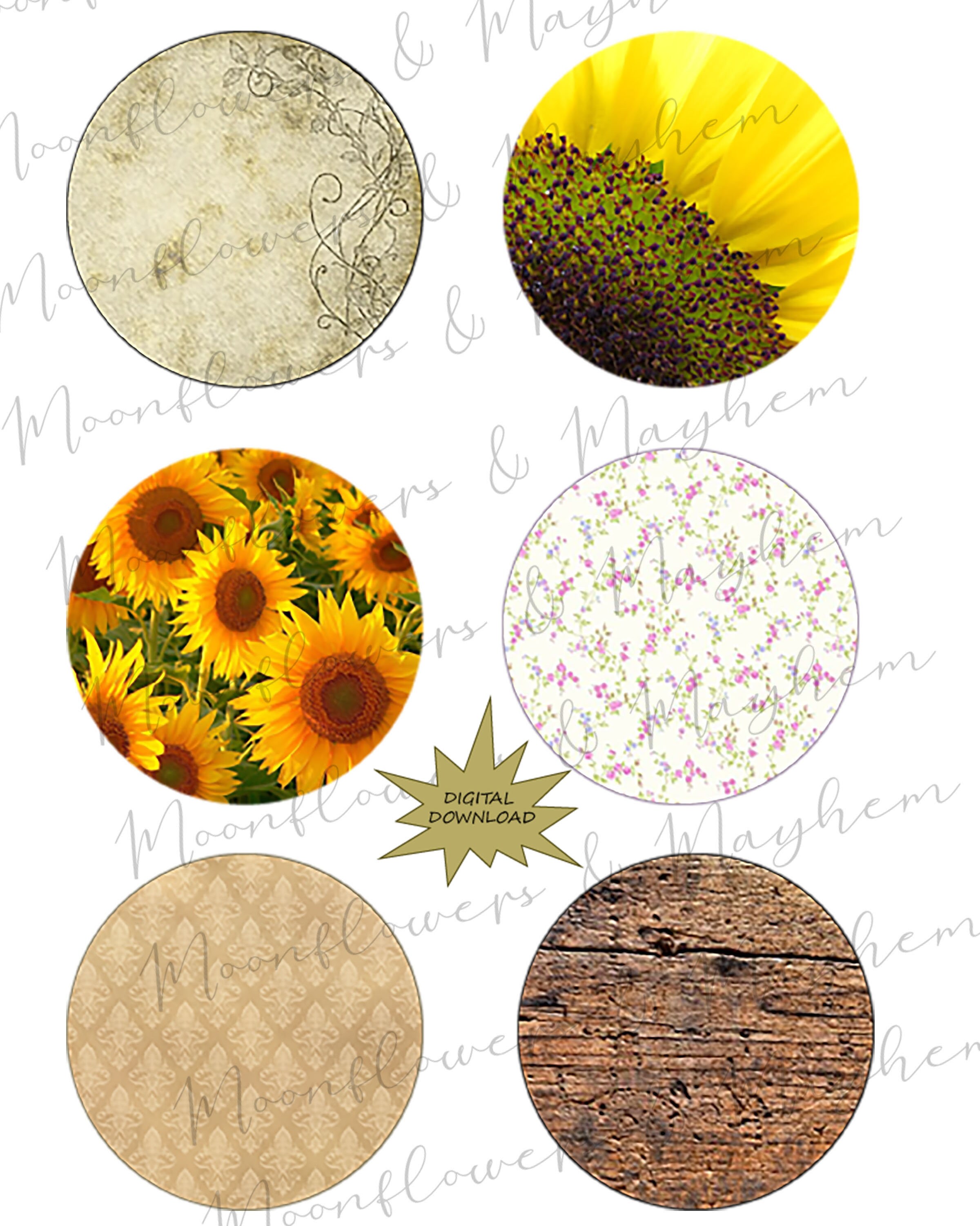 18 Designs...car Coaster Bundle/ 3 Inches Digital Design for ...