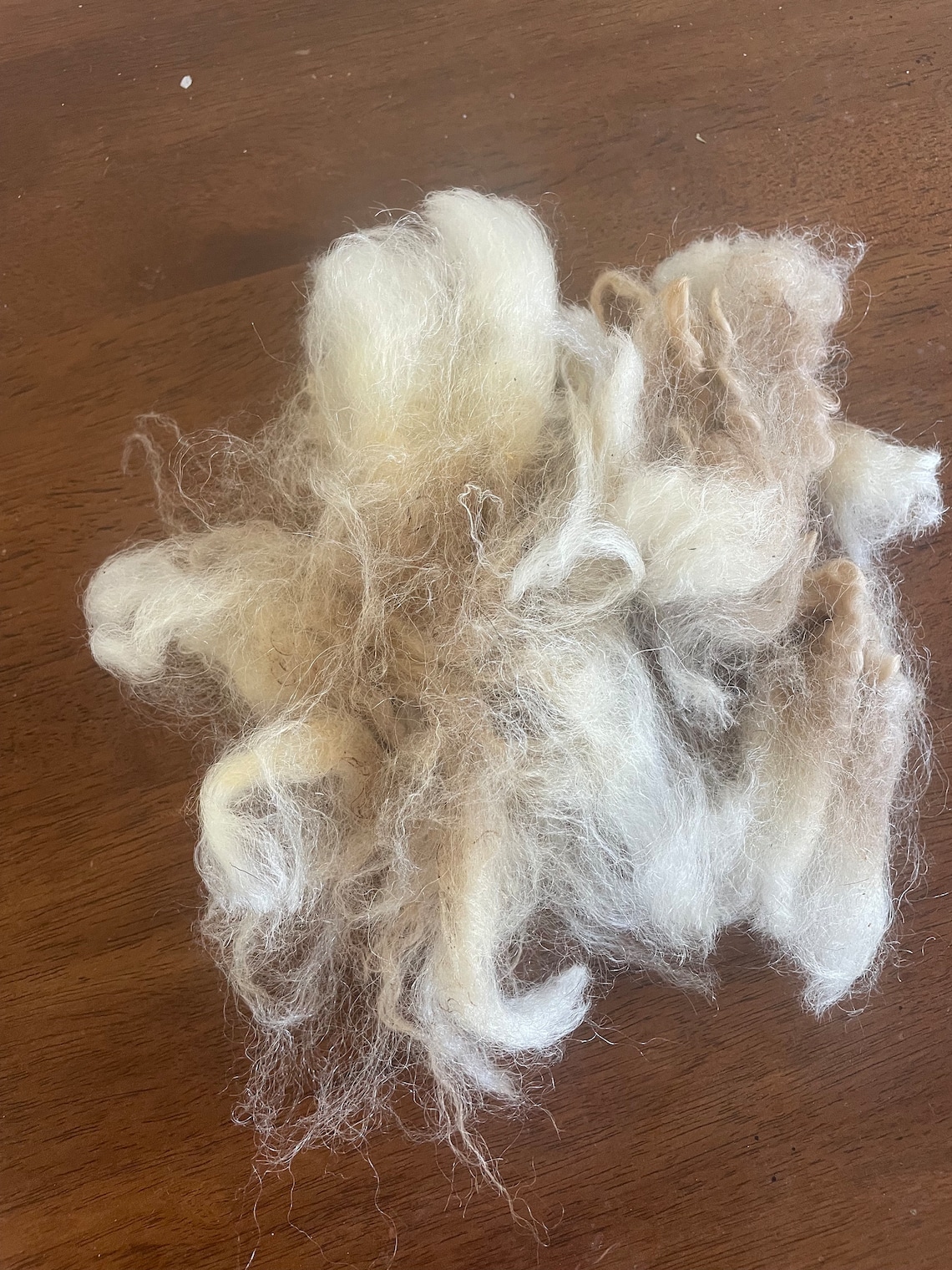 Valais Blacknose Sheep Raw Wool - Etsy
