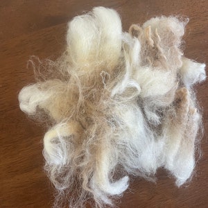 Valais Blacknose Sheep Raw Wool - Etsy