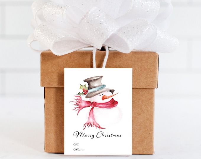 Snowman With Hat & Scarf, Christmas, Gift Tags, Cute, Whimsical ...