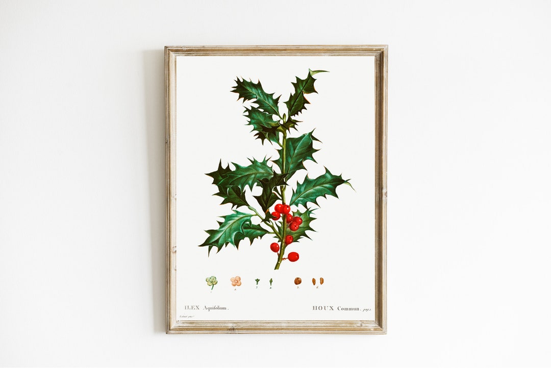 Holly Printable Christmas Printable Wall Art Holiday Decor Christmas ...
