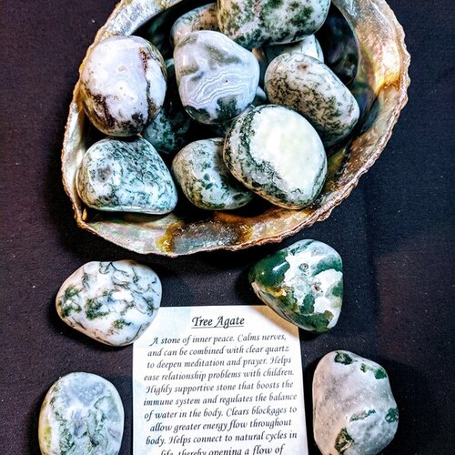 Tree Agate Tumbled - Etsy