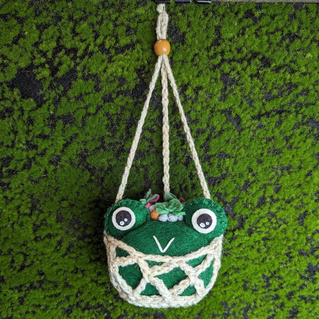 Hanging Planter Frog - Etsy