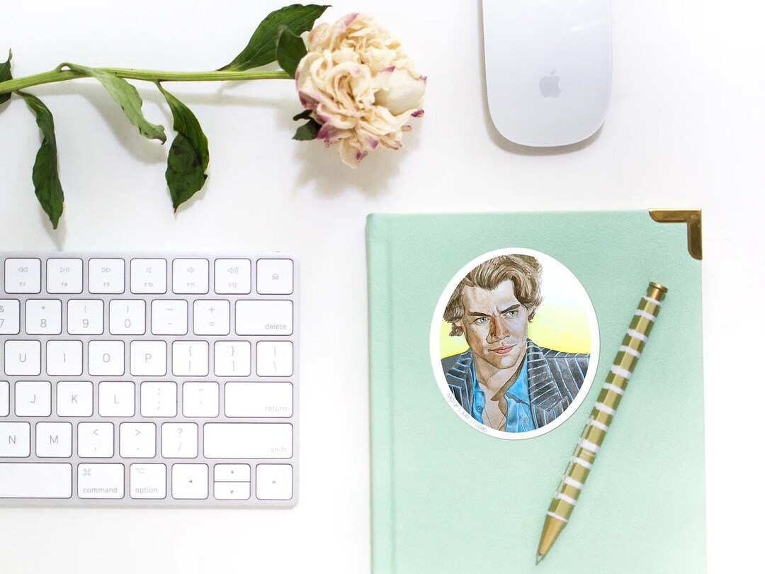Harry Styles Sticker, Waterproof Vinyl Sticker - Etsy