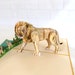 Handmade Male Lion Pop up Card, Jungle Animal, Safari Themed Party ...