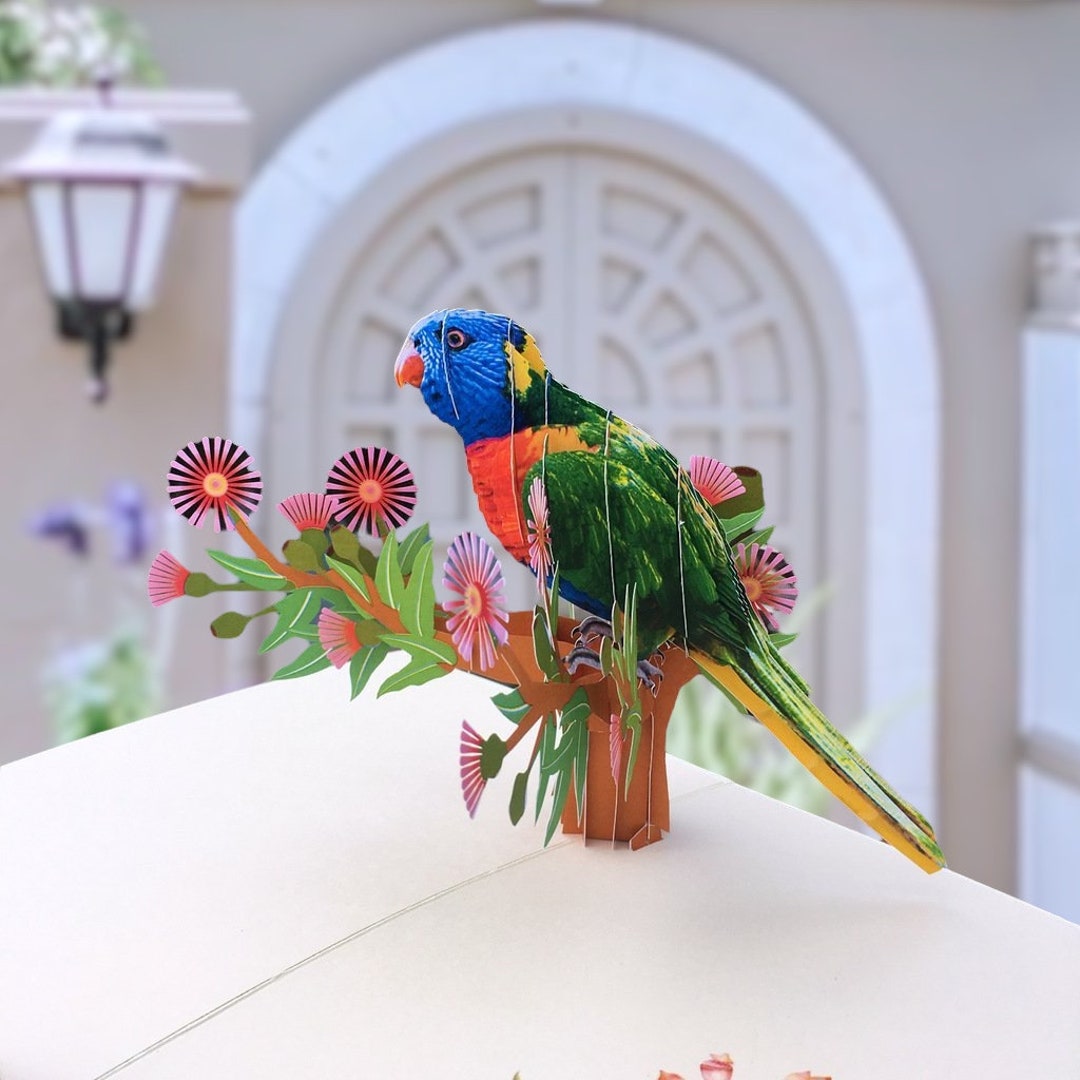 Rainbow Lorikeet Parrot Bird 3D Pop up Greeting Card / Australian ...
