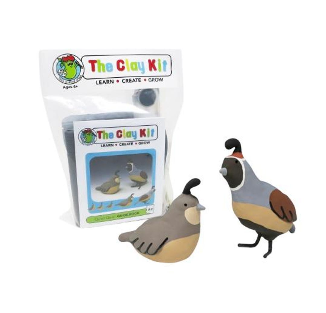 Clay Kit - Quiet Quails - Etsy