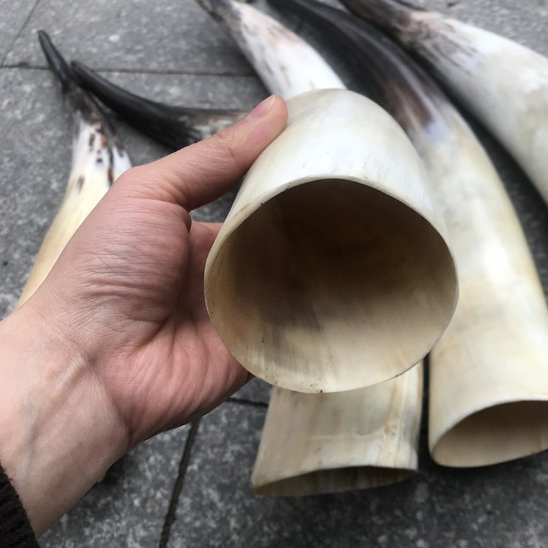 1PCS Hand-made Polished Ox Horn Skull Pure Natural Horns DIY - Etsy