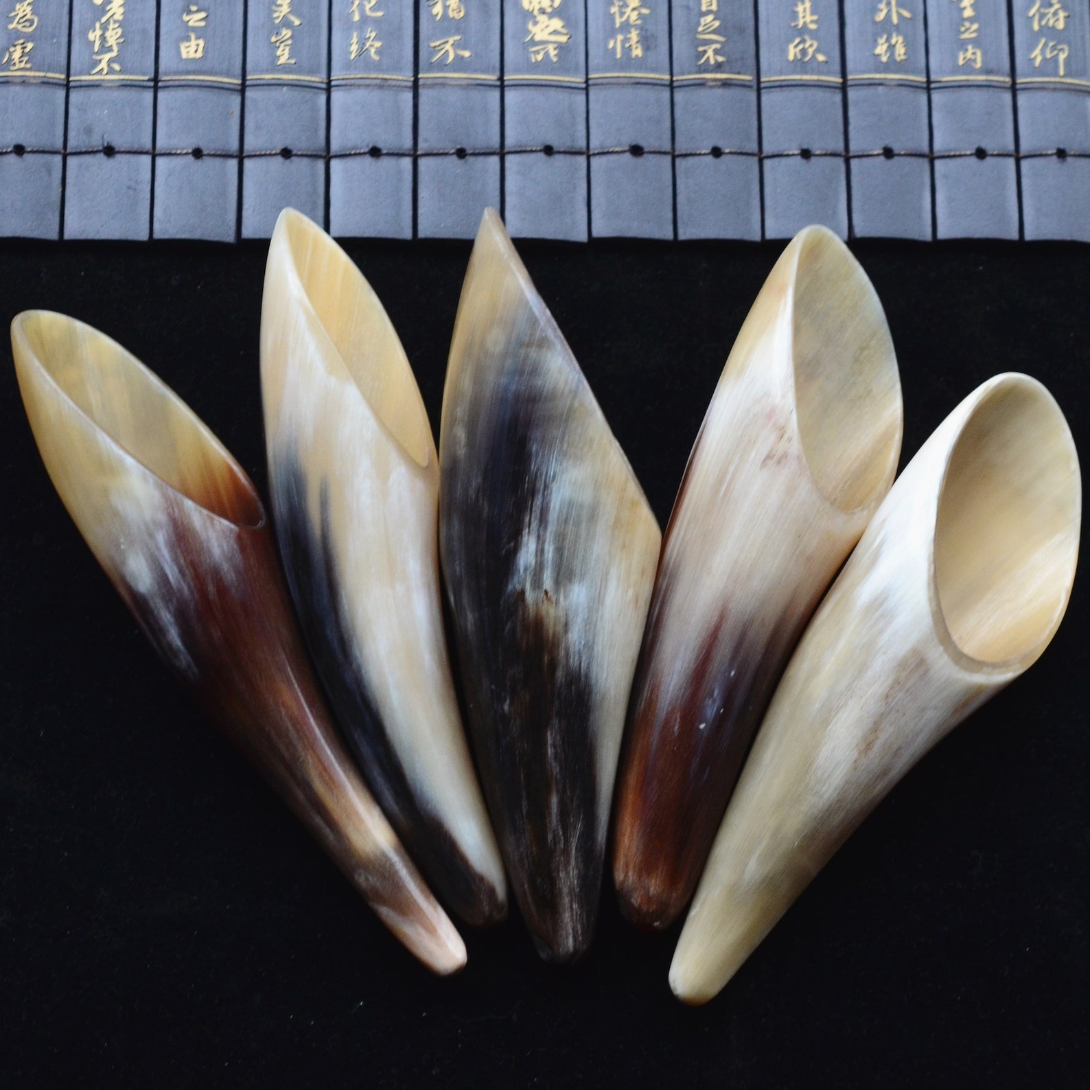 1PCS Hand-made Polished Ox Horn Skull Pure Natural Horns DIY - Etsy