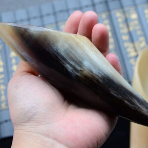 1PCS Hand-made Polished Ox Horn Skull Pure Natural Horns DIY Crafts ...
