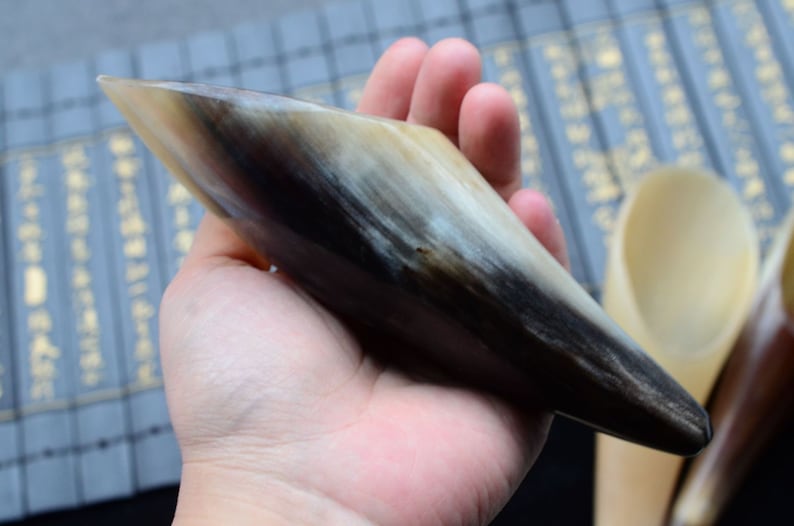 1PCS Hand-made Polished Ox Horn Skull Pure Natural Horns DIY Crafts ...