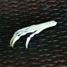 1PCS Real Fox Feet Articulated Bones Claws Paws Taxidermy Gift ...