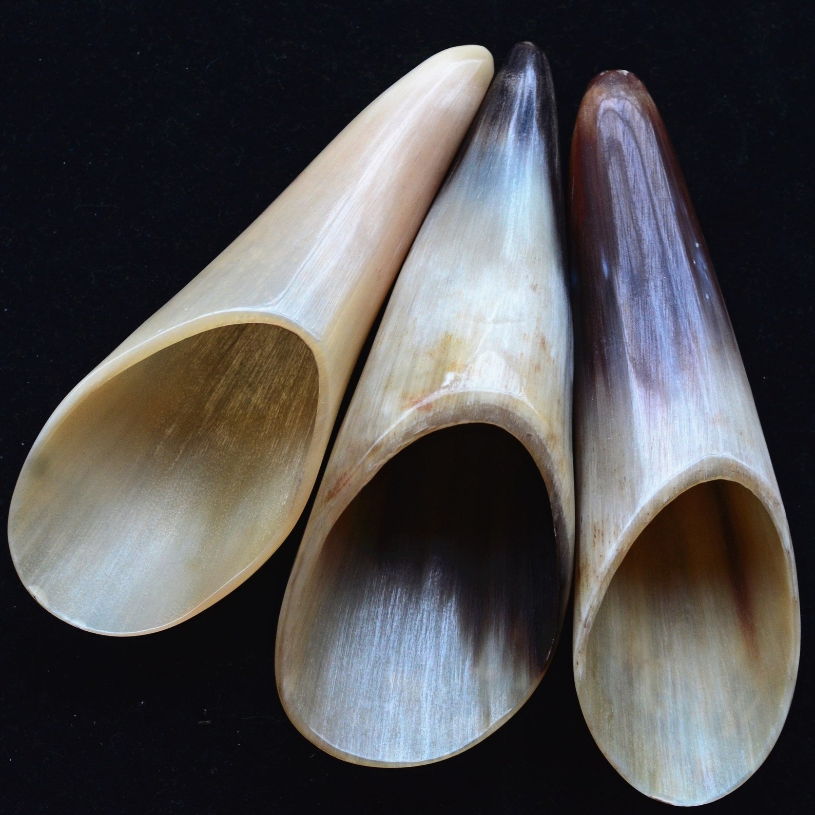 1PCS Hand-made Polished Ox Horn Skull Pure Natural Horns DIY Crafts ...
