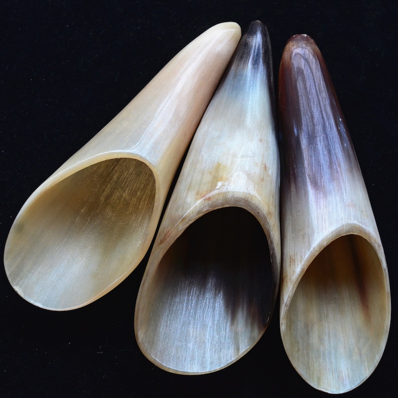 1PCS Hand-made Polished Ox Horn Skull Pure Natural Horns DIY - Etsy