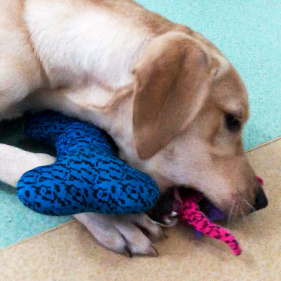 MOREFUN New Hot Corduroy Dog Bone Shaped Dog Toy With Squeaker - Etsy