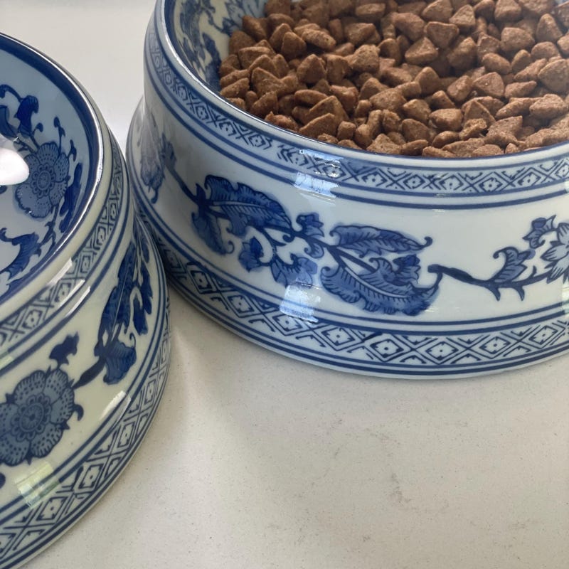 Cat Bowl Ceramic Blue - Etsy UK