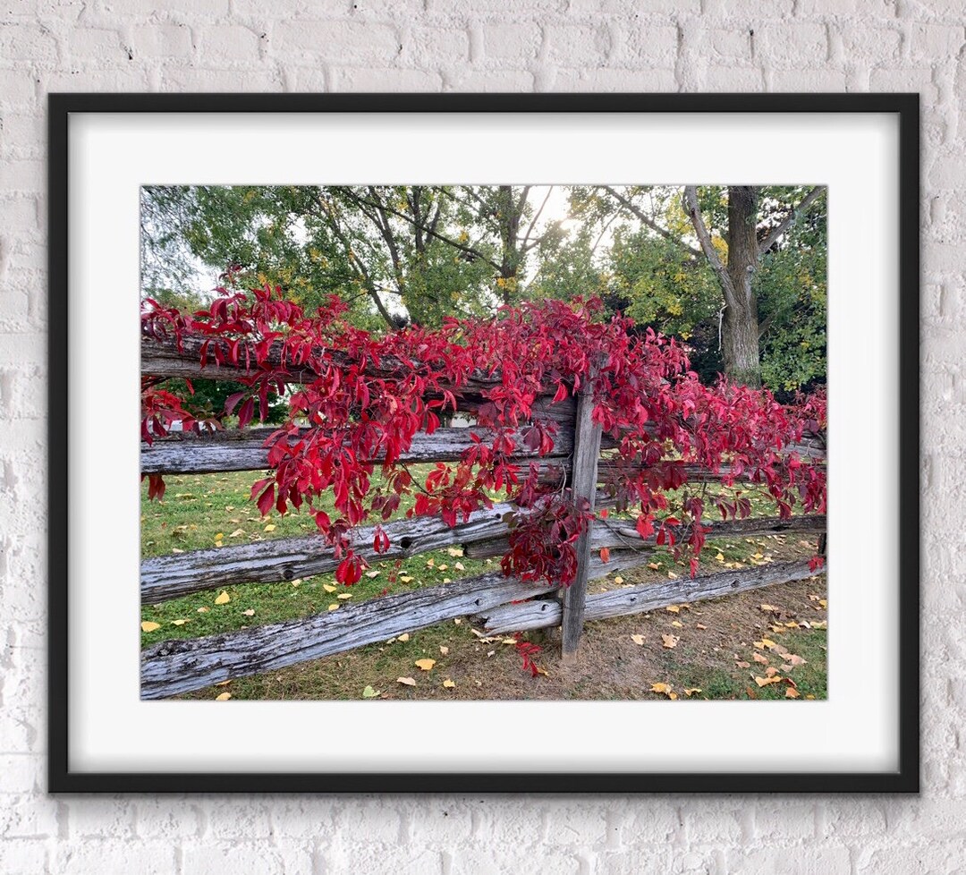 Farmhouse Wall Decor , Fall Fence Rail, Rustic Decor - Etsy