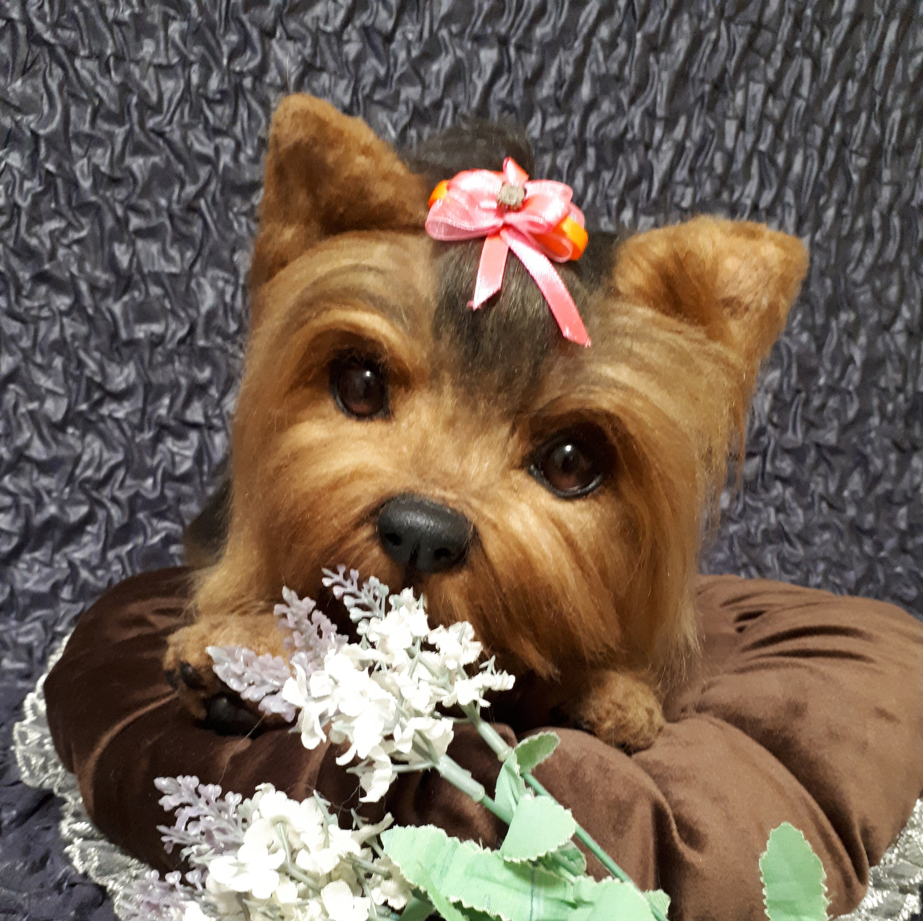 Made to order . Yorkshire terrier realistic plush stuffed dog. | Etsy