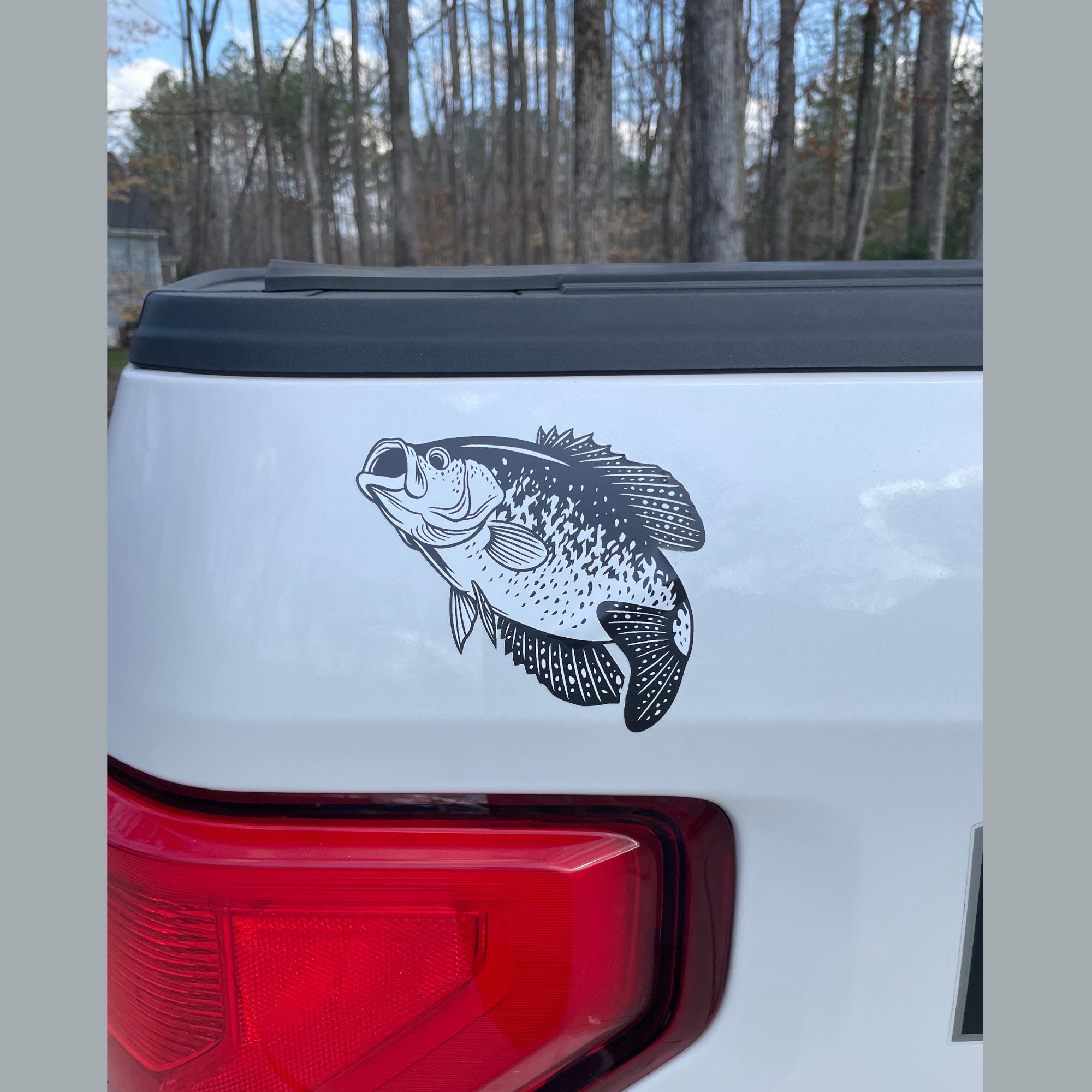 Fish Vinyl Decals, Bass Fish Decal, Crappie Fish Decal, Fisherman ...