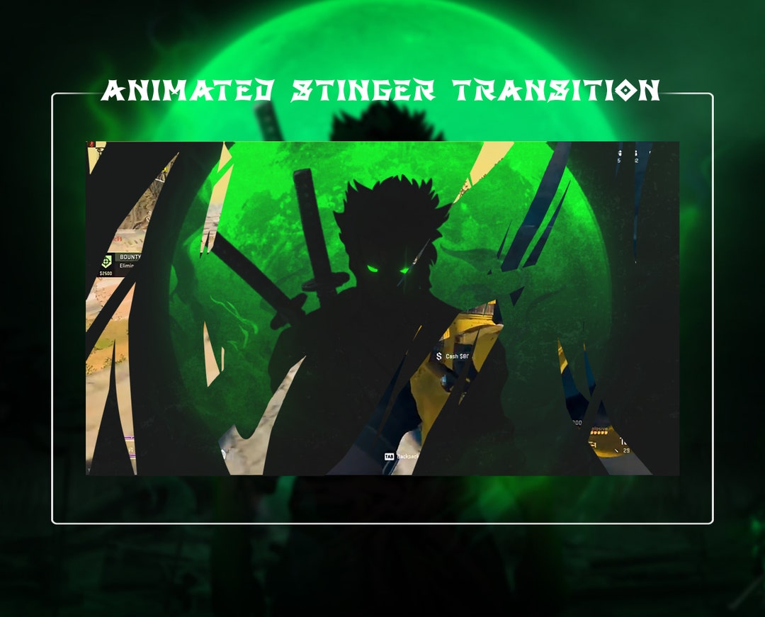 Pirate Hunter Stinger Transition/ninja Theme/anime Theme/pirates ...