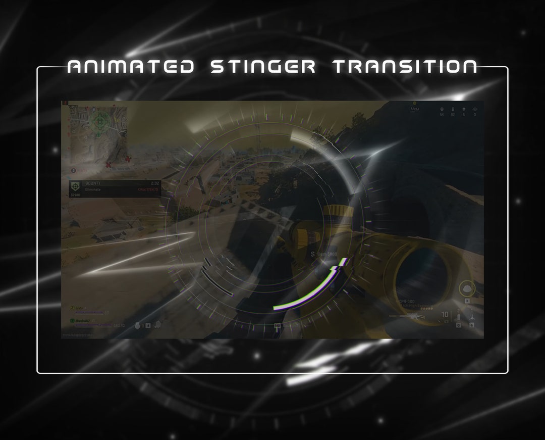 Glitch Animated Transition/black & White/animated Twitch - Etsy