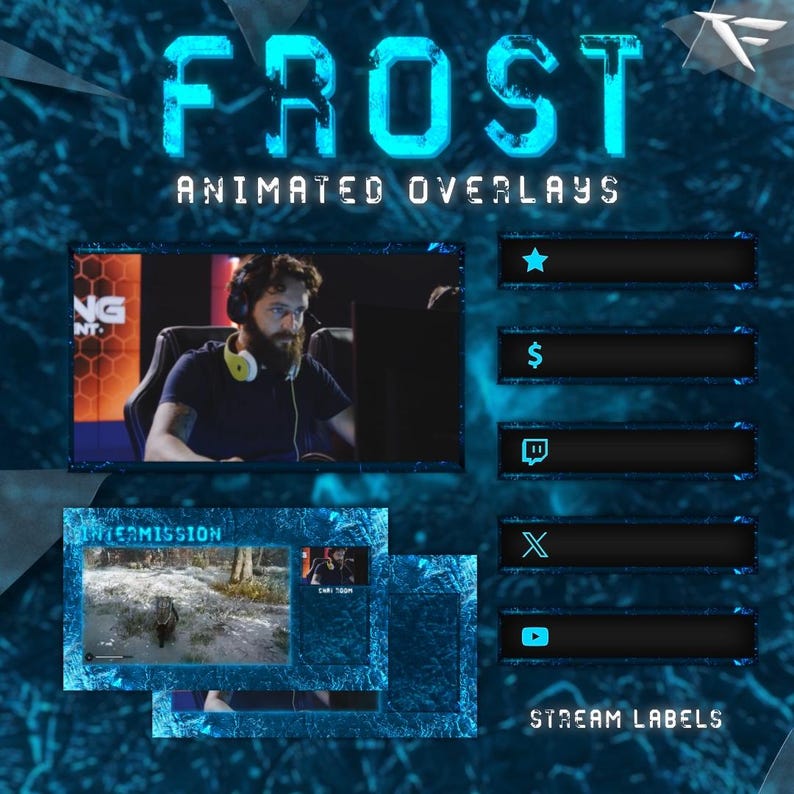 Frost Animated Stream Package: Twitch Overlay, Panels, Transition - Etsy