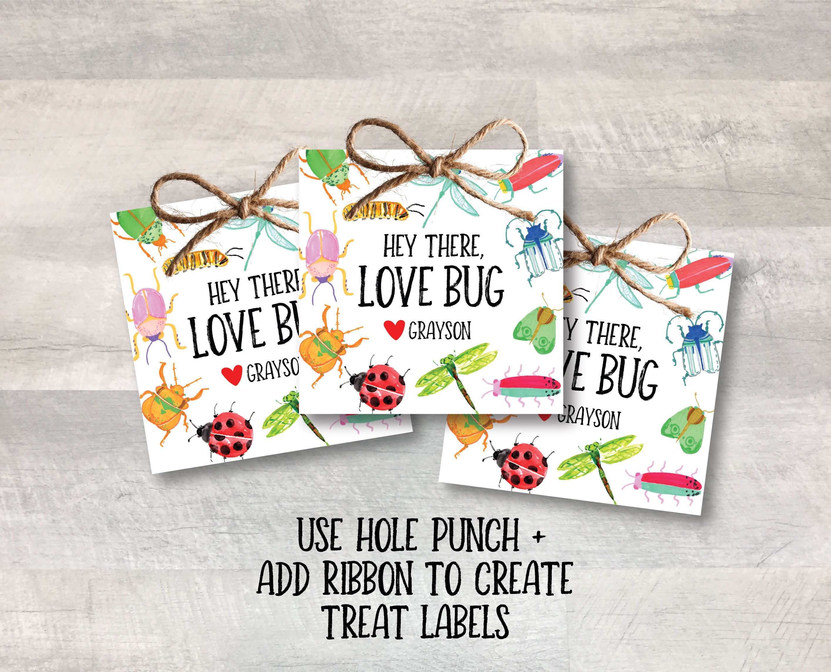 Love Bug Valentine Cards 3x3 Printable - Etsy