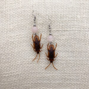 Crystals and Cockroaches Rose Quartz - Etsy