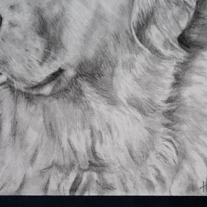Custom Pet Portrait in Graphite - Etsy