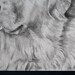Custom Pet Portrait in Graphite - Etsy