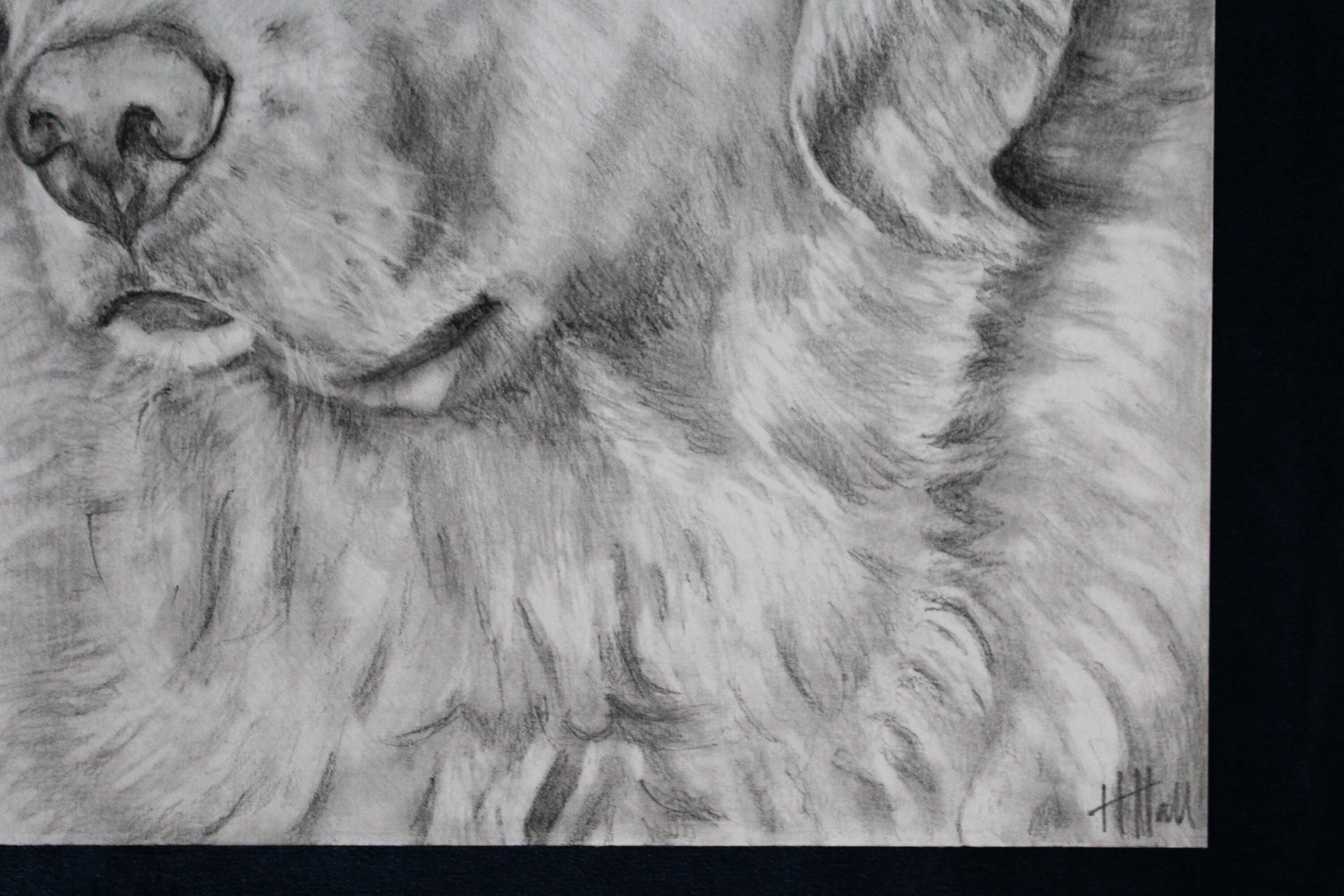 Custom Pet Portrait in Graphite - Etsy