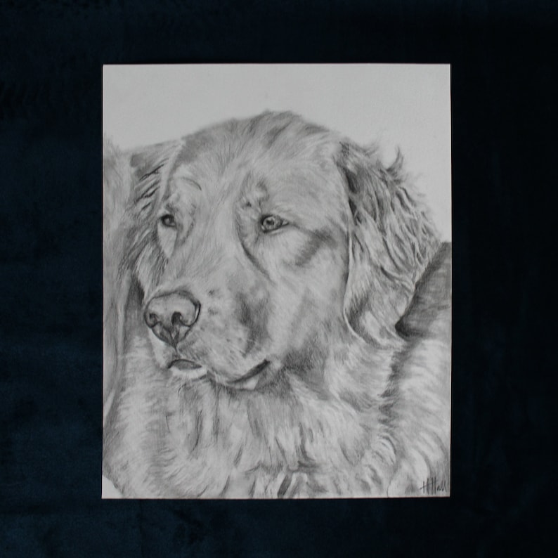 Custom Pet Portrait in Graphite - Etsy