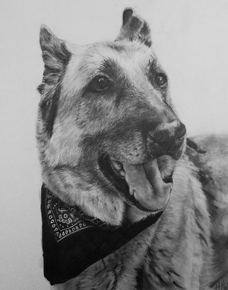 Custom Pet Portrait in Graphite - Etsy