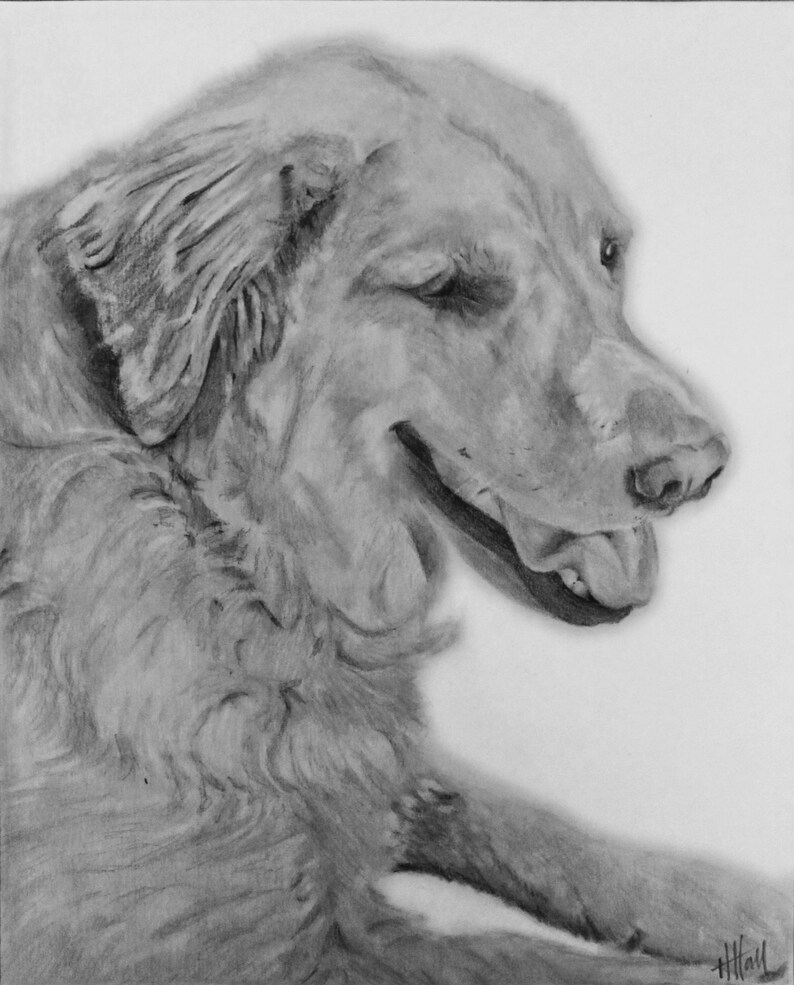 Custom Pet Portrait in Graphite - Etsy