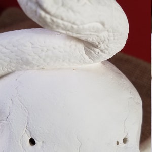 7.5 Realistic Skull and Snake Ceramic Bisque Fall - Etsy